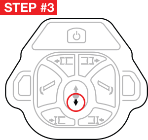 SmartTouch Programming Instructions