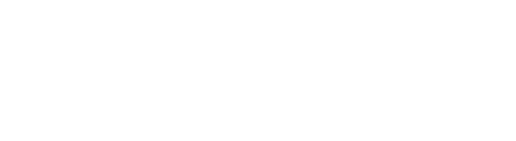 TEV Trip-Edge V-Plow